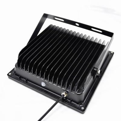 Cina La PANNOCCHIA all'aperto del nero del ODM ha condotto la luce di sicurezza con il sensore IP66 della cellula fotoelettrica in vendita