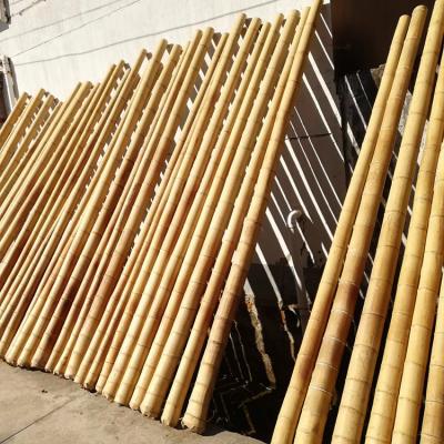China 100 % Natural Strong Durable Moso Bamboo Pole Customize Length for sale