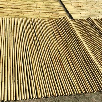 Cina Schermo di bambù rotolato riutilizzabile di segretezza in vendita