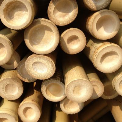 China 100 % Natural Strong Durable Moso Bamboo Pole Customize Length for sale