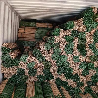 Cina La dimensione su misura ha dipinto Pali di bambù in vendita