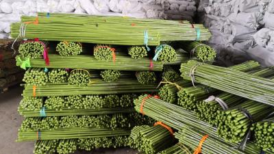 Cina La dimensione su misura ha dipinto Pali di bambù in vendita