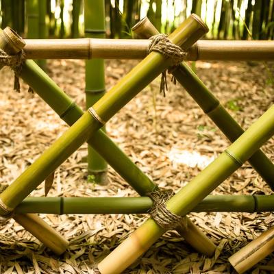 China 100 % Natural Strong Durable Moso Bamboo Pole Customize Length for sale