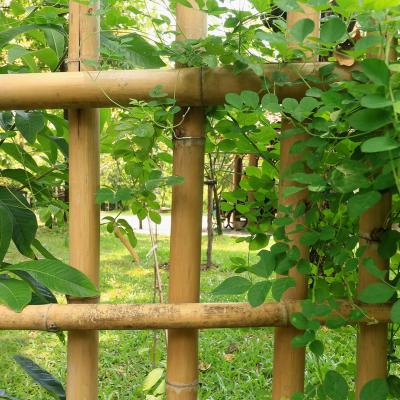 China 100 % Natural Strong Durable Moso Bamboo Pole Customize Length for sale