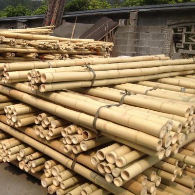 China 100 % Natural Strong Durable Moso Bamboo Pole Customize Length for sale