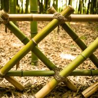 China Construction Bamboo Raw Material for sale