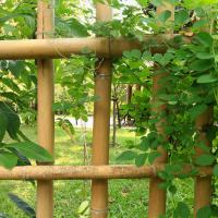China Construction Bamboo Raw Material for sale