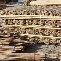 China Construction Bamboo Raw Material for sale