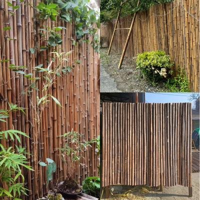 Cina Schermo di bambù rotolato riutilizzabile di segretezza in vendita