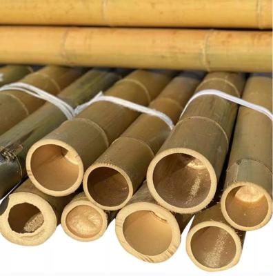 China Pistas de árvore de bambu retas Natureza grande Bastos de bambu cru para decoração comprimento 300cm à venda