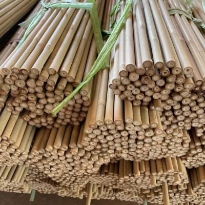 China Natureza Bamboo cru Pólos de árvores de bambu retas estacas de bambu grandes Pólos de bambu para decoração à venda
