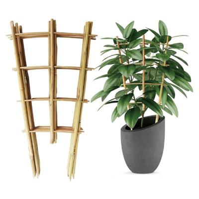 중국 공장에서 직접 공급 수작업 24 인치 대나무 U 트레리스 정원을위한 호프 스틸 판매용