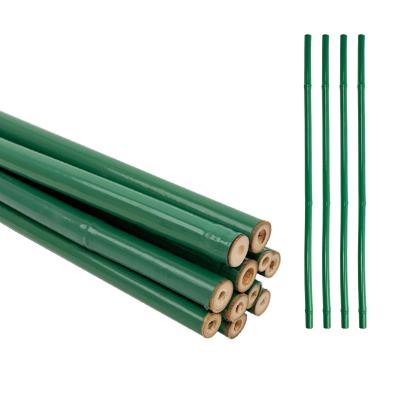 China Suporte floral tratado de bambu revestido de PVC verde sob medida à venda