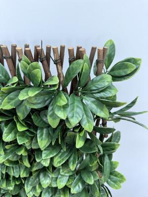 China Weatherproof Greenery Privacy Fence No Rotting Flame Retardant for Added Safety for sale