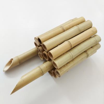 China 30-350cm Bamboo Pole Fence for Garden, Powder Coated for sale