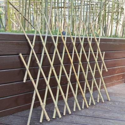 China Expandable Bamboo Pole Fence 2-8ft Height Custom Size Outdoor Decoration for sale