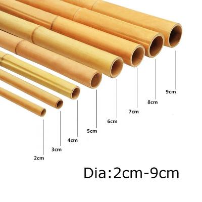 China Natural Bamboo Pole 45cm-600cm for Garden Plant Support for sale