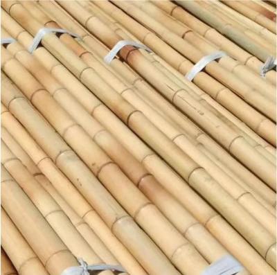 China Natural Bamboo Color Moso Bamboo Pole for Planting Support with 10cm-600cm Length and 40mm-140mm Diameter for sale