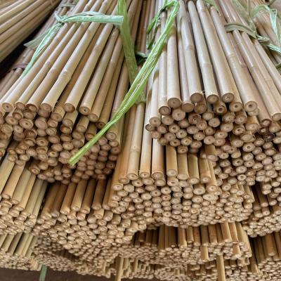 China Garden Bamboo Stakes: The Ultimate Eco-Friendly Support for Your Plants & Climbers for sale