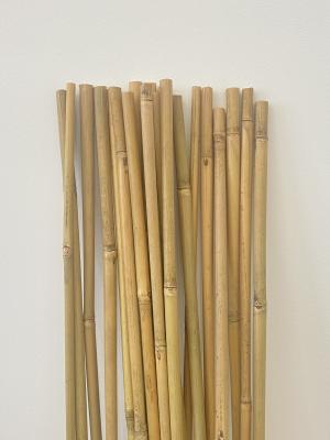 China Strong & Sustainable Bamboo Stakes: Premium Supports for Climbing Plants for sale