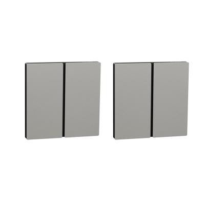 China C2E616101_GY_C1 Schneide Cuadro H KNX Push Button 2 Key Grey Thermoplastic for sale