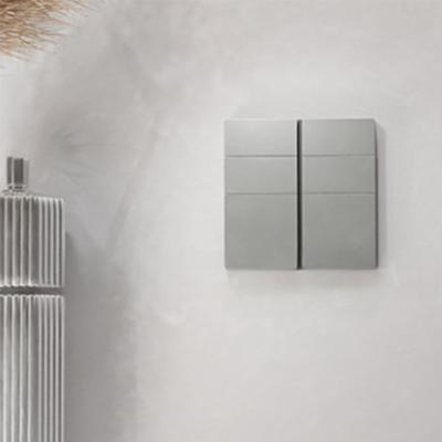 China C2E616301_GY_C1 Schneide Cuadro H KNX 6 Key Push Button Grey Color Thermoplastic for sale