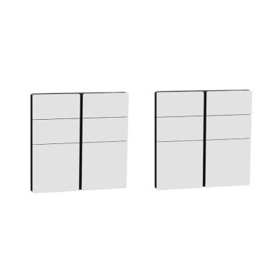 China Schneide C2E616301-WE-C1 Cuadro H KNX Panel 8 Programmable Buttons White Whole House Control for sale