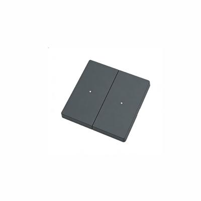 China MTN625214  2-Gang Rocker for Push-button Module Anthracite Industrial Matte Finish for sale