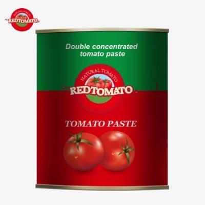 China 800g Canned Tomato Paste Conforms To The Global Standards Set Forth By ISO HACCP BRC  And FDA Regulations for sale