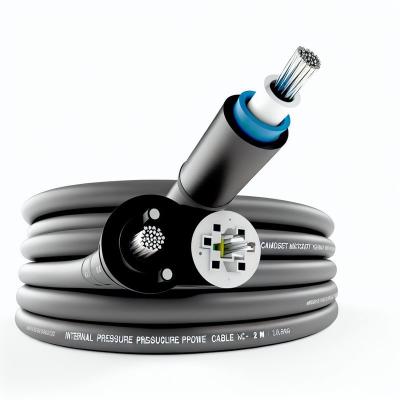 China Internal pressure type According To Models Standard Length 2m Cable Length Power Cable Power Cable Standard Length 2m for sale