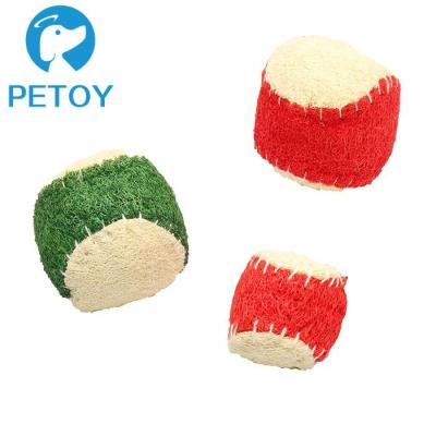Cina Cane indistruttibile amichevole della corda di Eco il piccolo gioca il materiale della luffa della natura in vendita