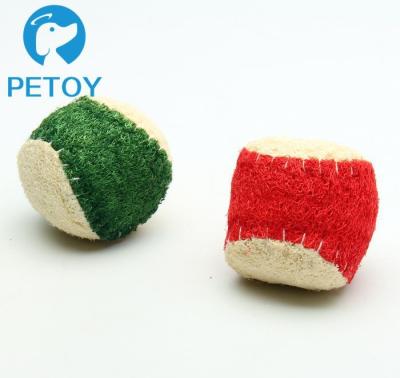 Cina Cane indistruttibile amichevole della corda di Eco il piccolo gioca il materiale della luffa della natura in vendita