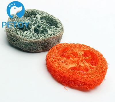 中国 多彩なLoofahの子犬の耐久ペットは環境友好的なカスタマイズされたサイズをもてあそびます 販売のため