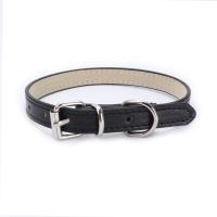 China Multi Color Dog Collars and Leashes Different Sizes with Durable No Pull Buckle XS to M for sale