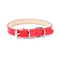 China Multi Color Dog Collars and Leashes Different Sizes with Durable No Pull Buckle XS to M for sale