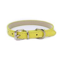 China Multi Color Dog Collars and Leashes Different Sizes with Durable No Pull Buckle XS to M for sale