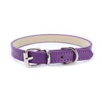 China Multi Color Dog Collars and Leashes Different Sizes with Durable No Pull Buckle XS to M for sale