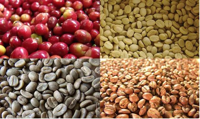 cocoa peeling machine automatic brown rice huller coffee husk peeling machine