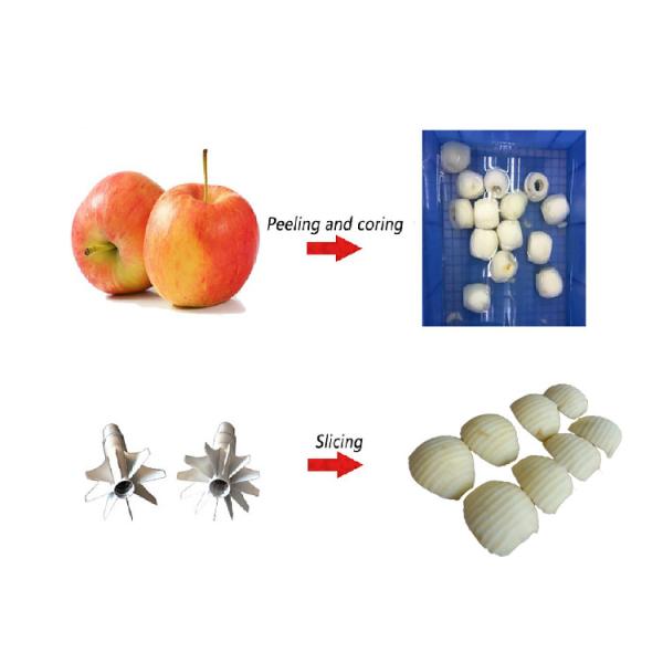 Commercial Electric Apple Peeler Corer Slicer 110V/220V 304 Stainless Steel