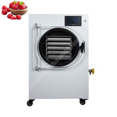 China 10kg home use freeze dryer/ freeze dryer machine for fruit/freeze dryer for milk for sale