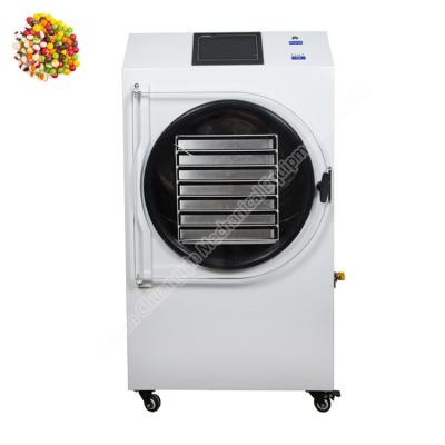 China Freeze Drying Equipment Home Freeze Dry Machine 10kg 4kg/Batch-6kg/Batch for sale