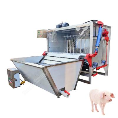 Cina Macchine per la rimozione dei peli di maiale Macchine per la combustione dei peli di maiale Macello di maiali in vendita