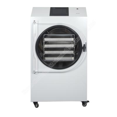 Cina Fragole Blueberry Frutta freeze-drying asciugatrice frutta verdura carne animali domestici freeze-drying machine in vendita