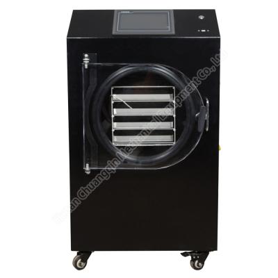 Cina Fragole Blueberry Frutta freeze-drying asciugatrice frutta verdura carne animali domestici freeze-drying machine in vendita