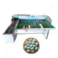 China Chicken Farm Classifier Chicken Farm Grading Machine Chicken Egg Sorting Machine Egg Weight Sorting Machine for sale