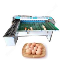 China Chicken Farm Classifier Chicken Farm Grading Machine Chicken Egg Sorting Machine Egg Weight Sorting Machine for sale