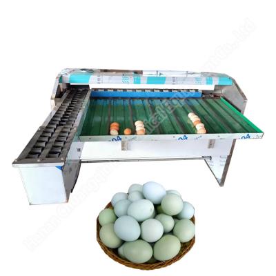 China Chicken Farm Classifier Chicken Farm Grading Machine Chicken Egg Sorting Machine Egg Weight Sorting Machine for sale