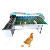 China Stainless Steel Egg Sorting And Grading Machine Automatic Egg Sorter Egg Sorting Grading Machine for sale