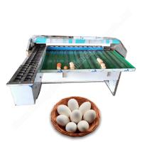 China Stainless Steel Egg Sorting And Grading Machine Automatic Egg Sorter Egg Sorting Grading Machine for sale