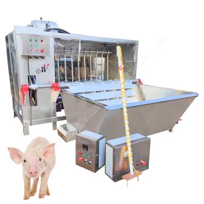 China Machine om varkenshaar te verwijderen Varkenshaar scheermachine Varkensverwarming machine for sale